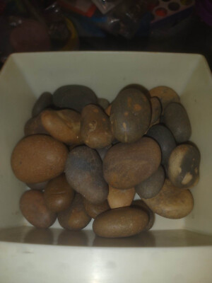 Large Smooth River Rock/Pebble | eBay