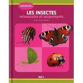 Livre Les insectes | eBay