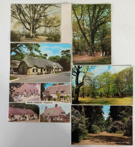 Postcard Job Lot Of 6 New-Forest Hampshire Postcards | eBay UK