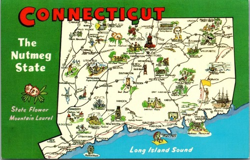 Postcard Connecticut State Map Nutmeg State Mountain Laurel Flower | eBay