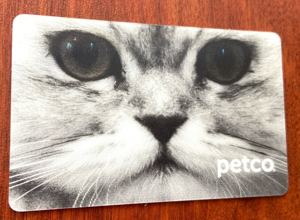 2015 PETCO WINKING CAT HOLOGRAM ACTION GIFT CARD No $ Value Collectible ...