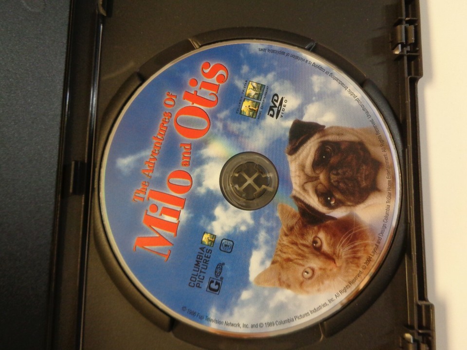 Lot of 4 DVDs, Disney Ratatouille, Toy Story 2, Alvin and Chipmunks ...