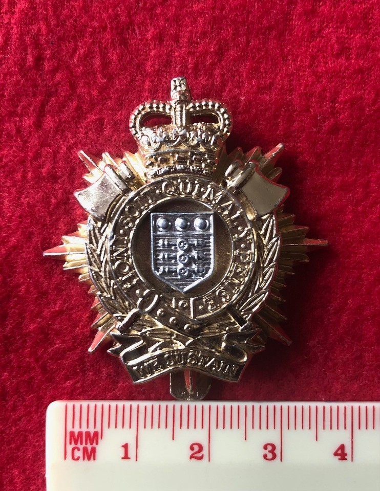 Genuine British Army Cap Badges - (Sold Individually) | eBay UK