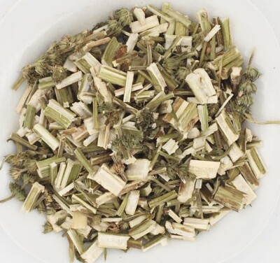 Motherwort Yi mu cao Leonurus heterophyllus Sweet Herba Leonuri Herbs ...