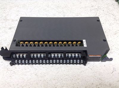 Allen Bradley 1771-OD16/B 120 VAC Isolated 2A Pilot B01 Output Module ...