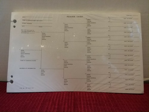 Vintage LDS Family Tree Pedigree Chart Form Genealogy Factory Sealed ...