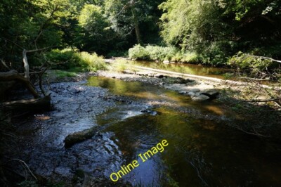 Photo 6x4 Weir, River Avon Loddiswell Behind the weir and to the left ...