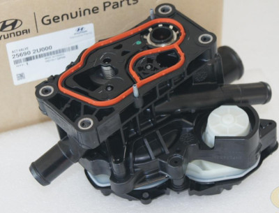 HYUNDAI TUCSON NX4 MK4 ACT Valve 256902U000 NEW GENUINE | eBay