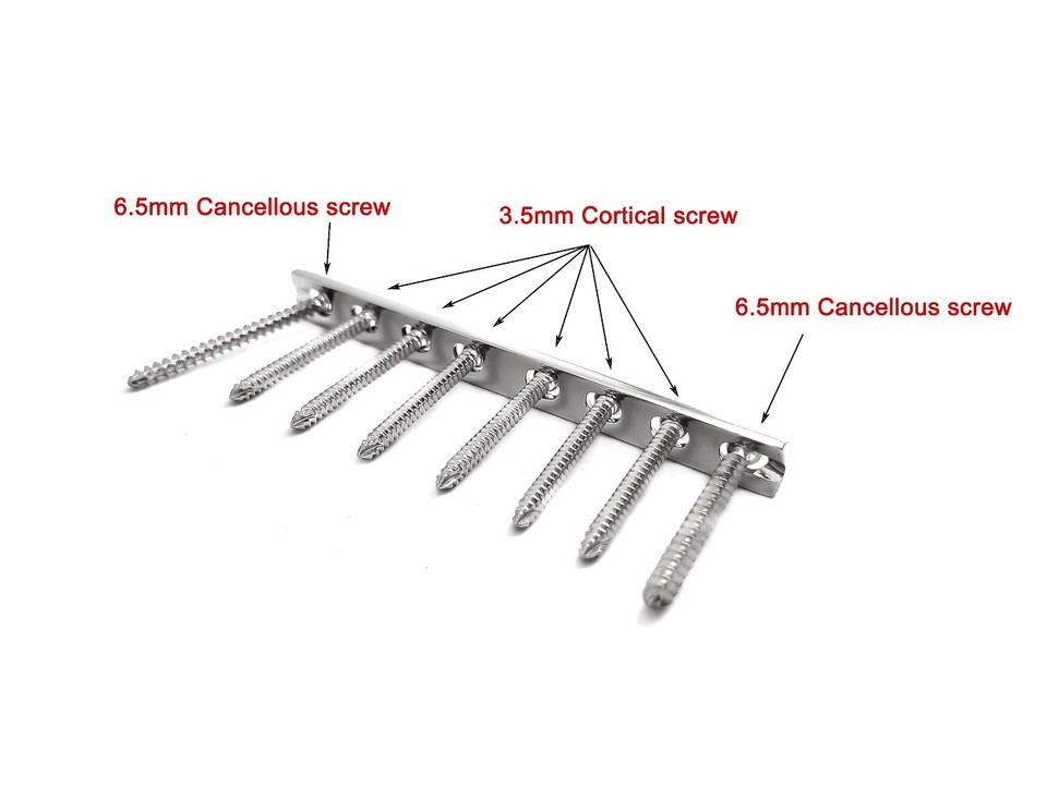 Small DCP Plate with 3.5mm Cortical 50pcs Screw Veterinary Instrument ...