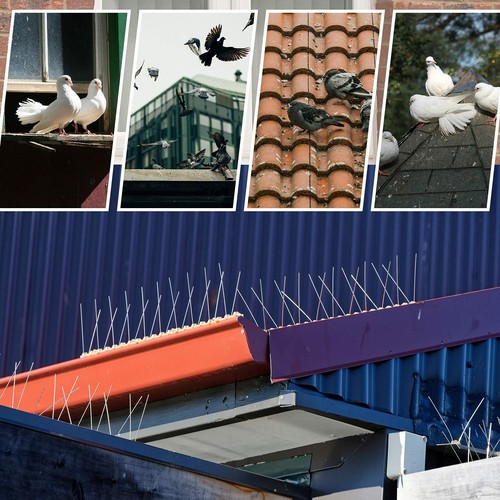 2M/5M/10M Bird Spikes for Pigeons Small Birds,Stainless Steel Deterrent ...