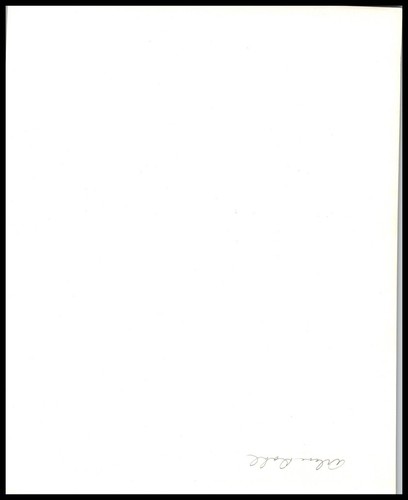 Hollywood Beauty ARLENE DAHL STUNNING PORTRAIT STYLISH POSE 1940s Photo ...