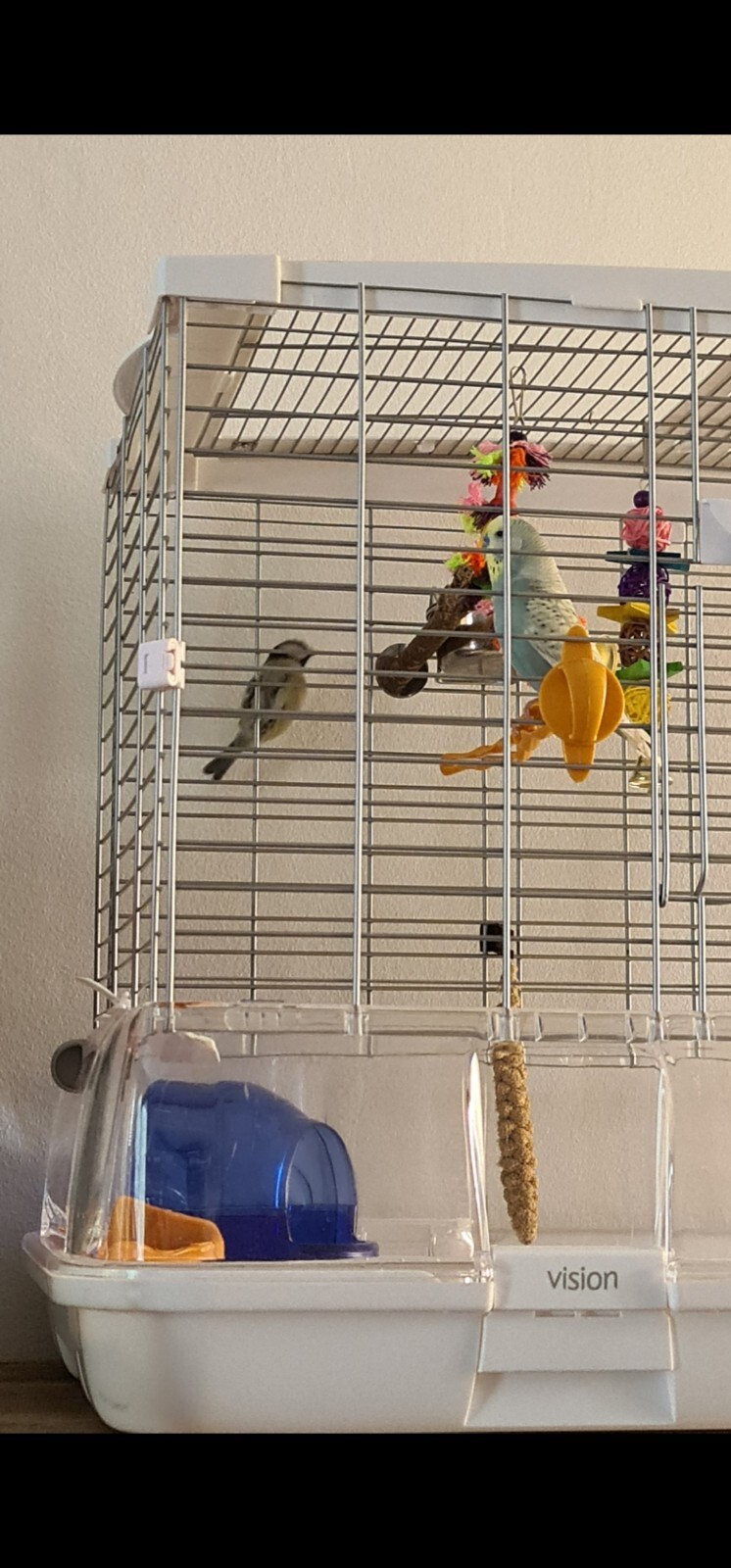 Vision L11 Bird Cage - Large (83310) for sale online | eBay