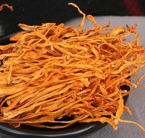 Dried Chinese Jin Chong Cao Herb Cordyceps Militaris Cordyceps Flower ...