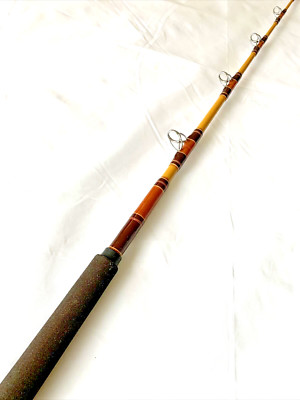 Conventional Rods - Sabre Fishing Rod