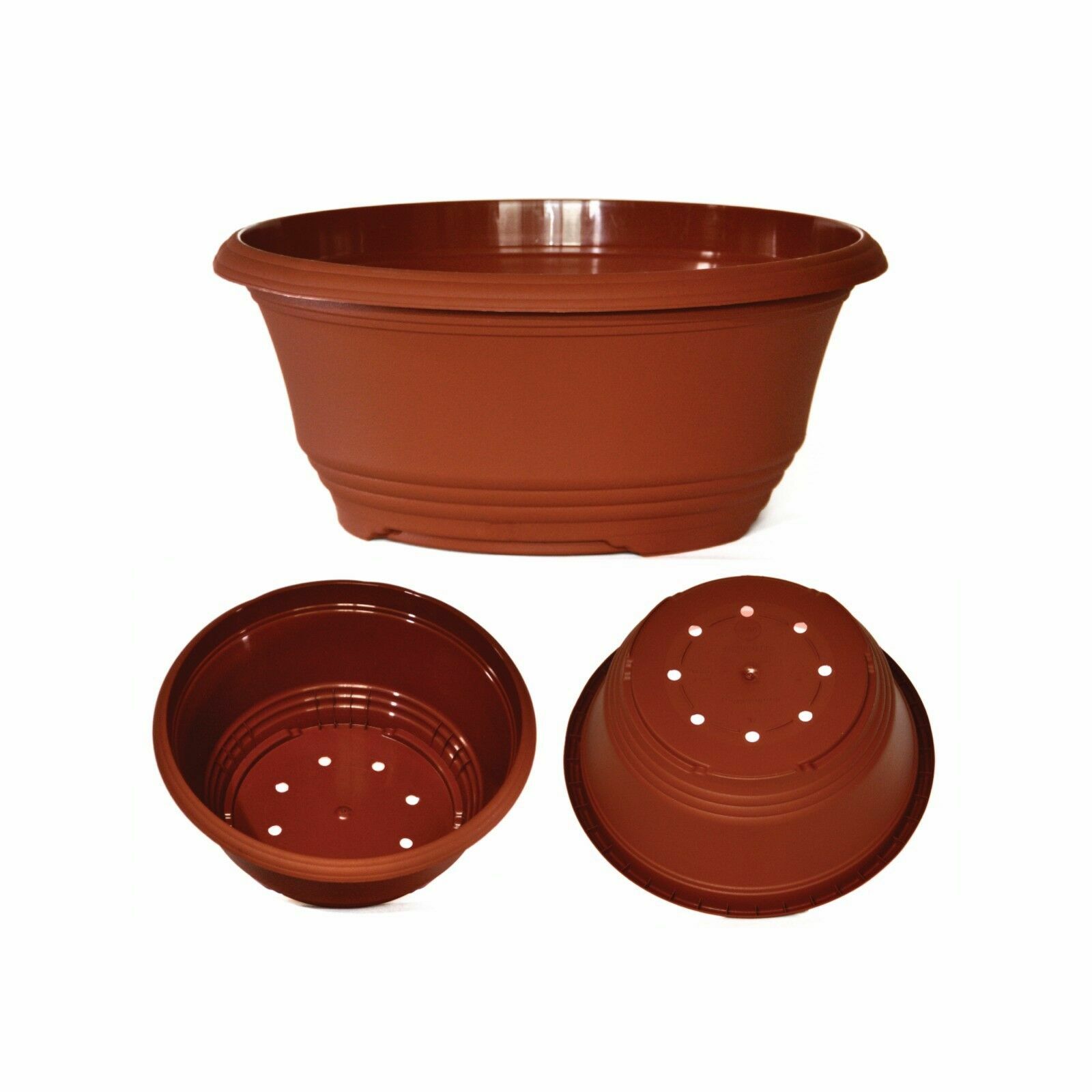Tekucotta terracotta Bulb Bowls available in 5 sizes. Bulbs, Alpines ...