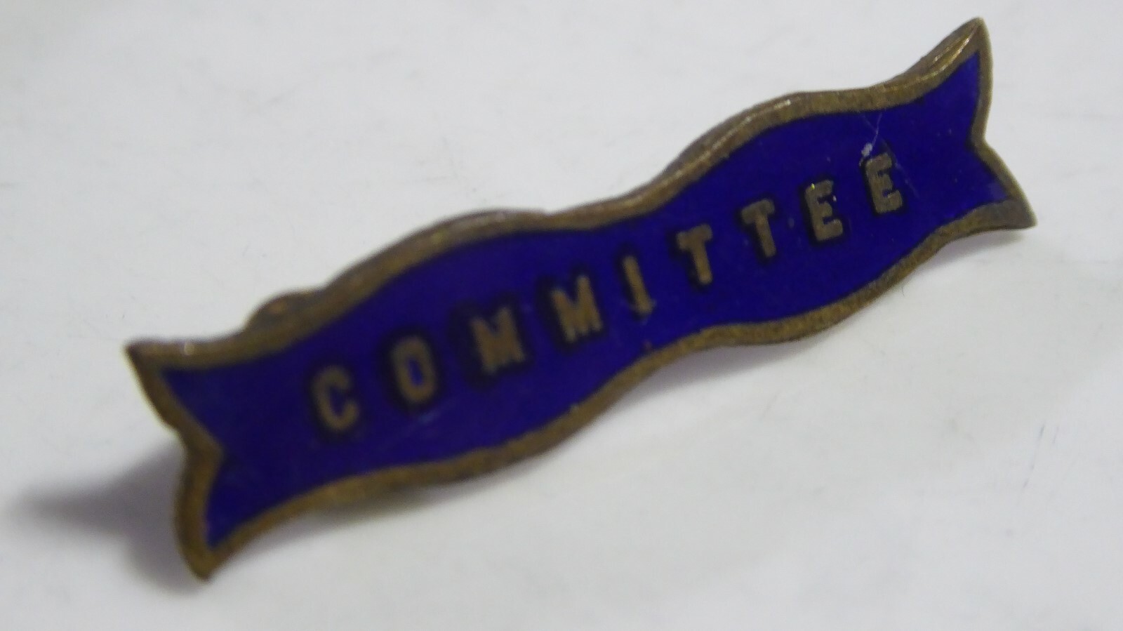 ANTIQUE - COMMITTEE - ENAMEL BRASS BADGE PIN | eBay