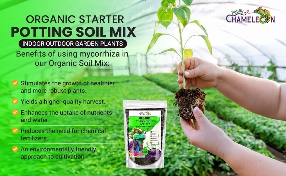 Organic Autoflower Seed Starter Soil Living Mix with Mycorrhizae ...