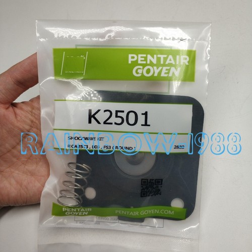 FOR PENTAIR GOYEN K2501 Diaphragm Repair Kit High-Primary 1" Pulse ...