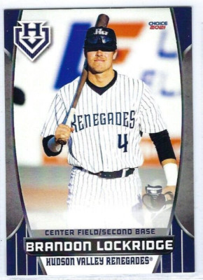 2021 Hudson Valley Renegades (Class A-New York Yankees) Brandon ...