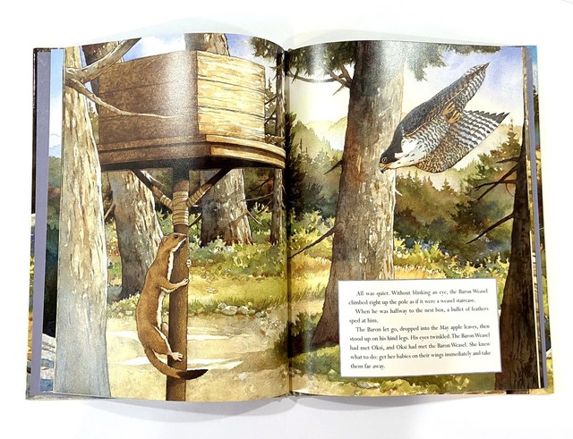 Frightful's Daughter Meets the Baron Weasel by Jean Craighead George ...