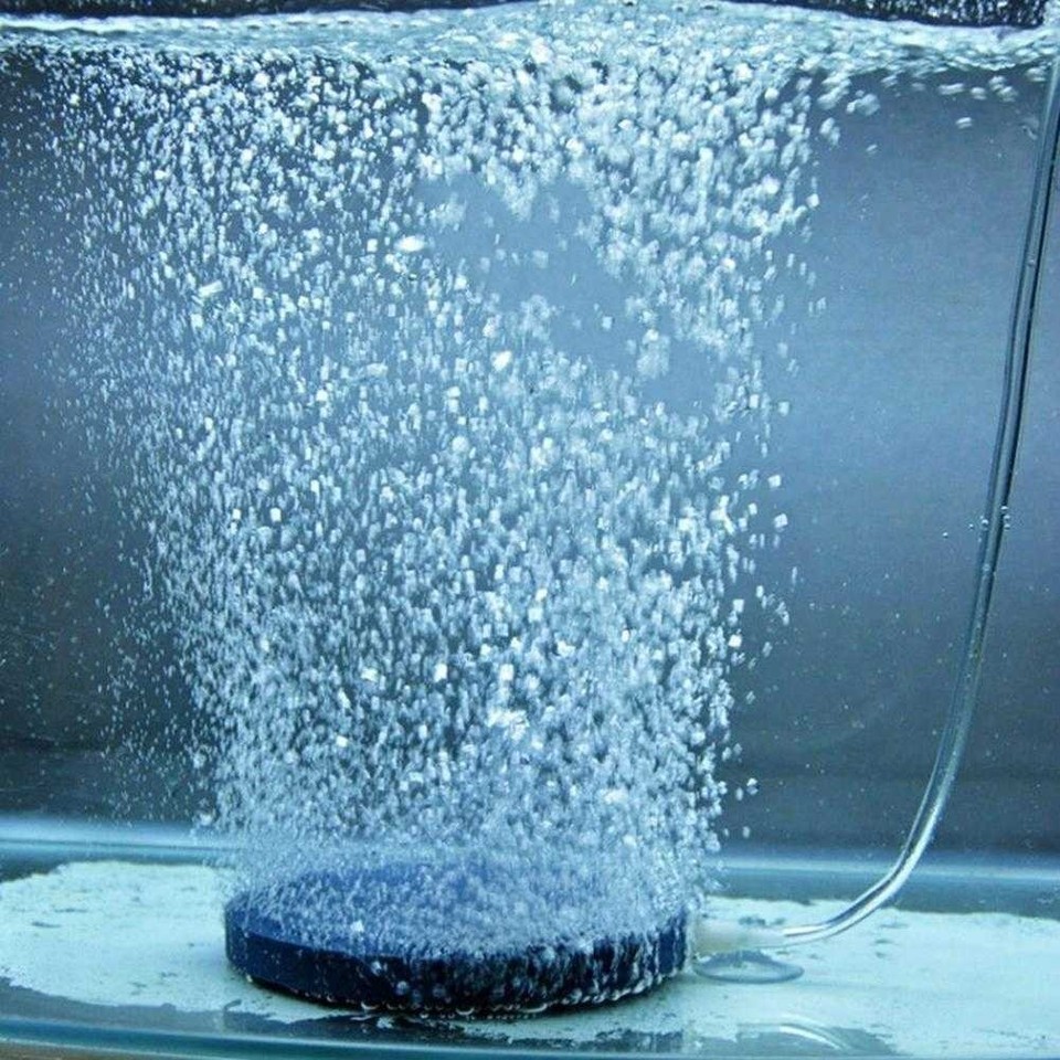 New AirBubble Disk Stone Aerator Aquarium Fish Tank Airstone -- Pump ...