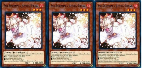 3X ASH BLOSSOM & JOYOUS SPRING 3X *** PLAYSET SDSB-EN019 MINT YUGIOH ...