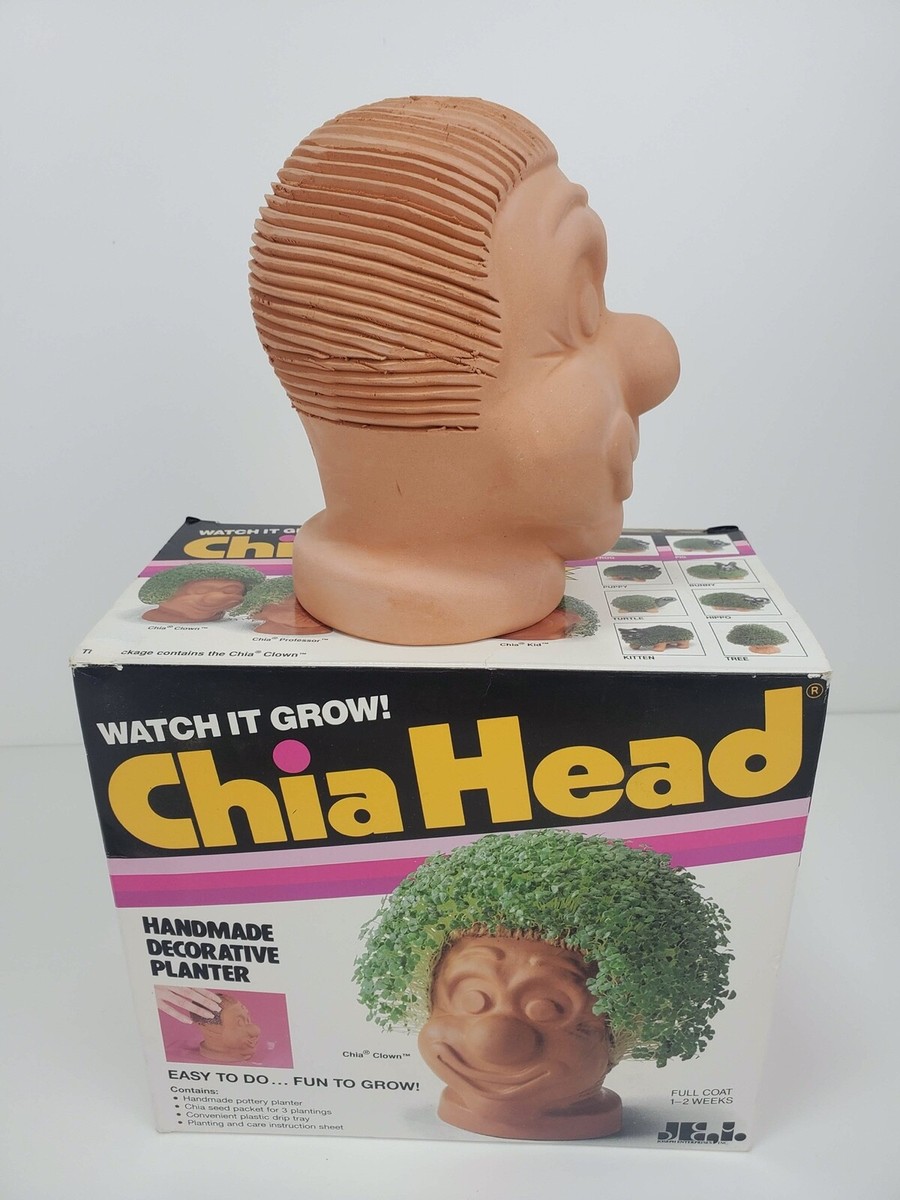 Chia Head
