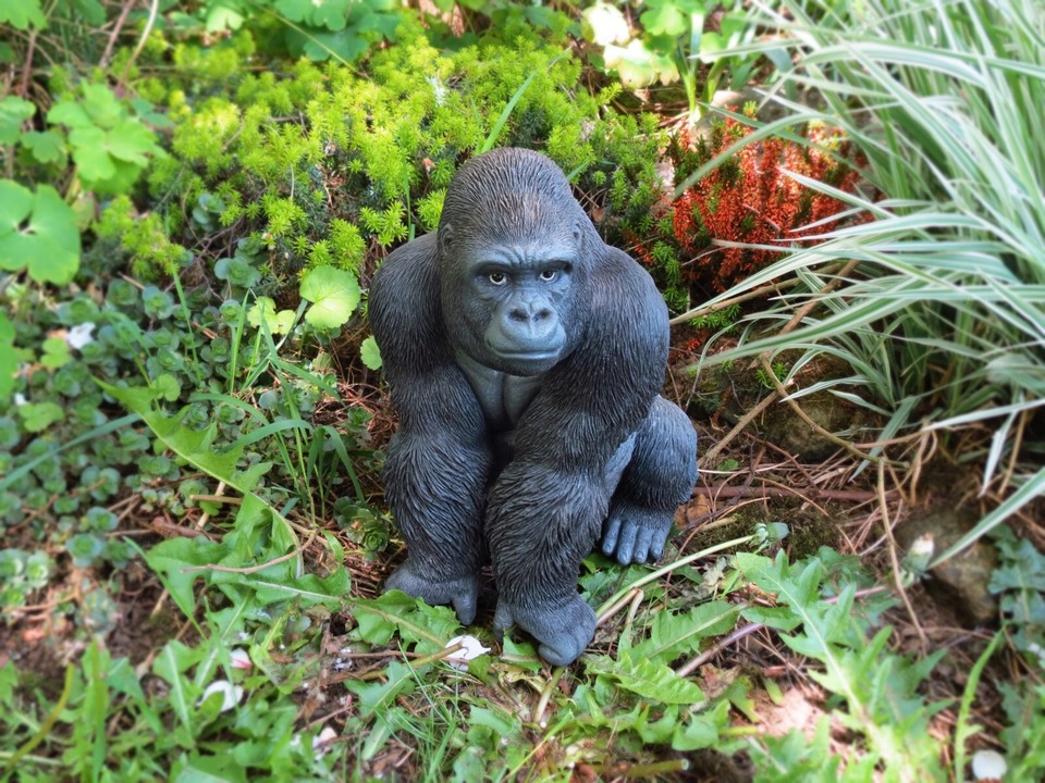SILVERBACK GORILLA FIGURE, Life Like Home & Garden Ornament. Vivid Arts ...