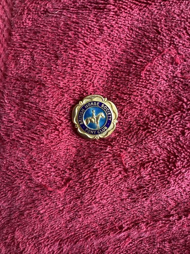 British Horse Society - Pony Club Lapel Pin | eBay