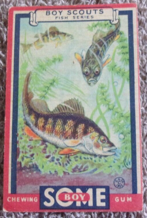 1933 Goudey Gum Some Boy Boy Scout #19 The Yellow Perch Card | eBay