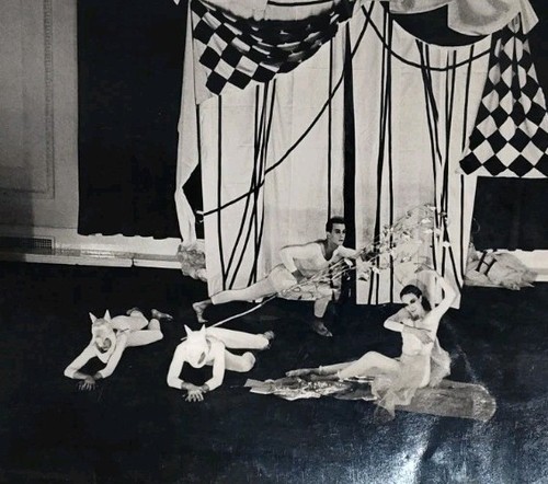 Flower Hujer Photo Modern Ballet Dancer 8X10 Live Troupe Performance ...