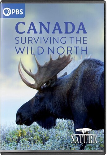 Surviving The Wild Surviving The Wild
