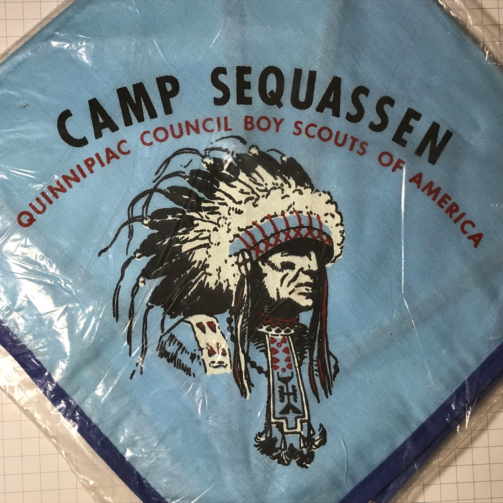 Scouting Hot Finds Newsletter: Sunday Auctions