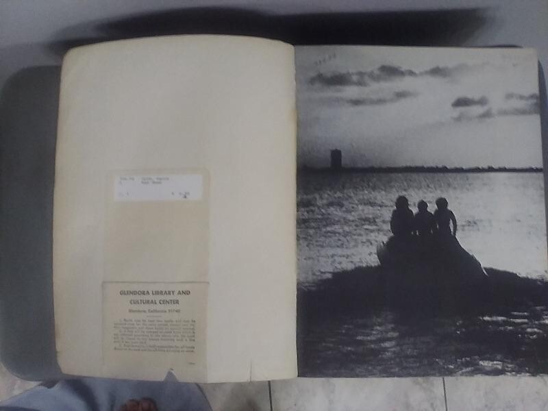 Bee Gees: The Authorized Biography Book Gibb Bros. - David Leaf, No ...