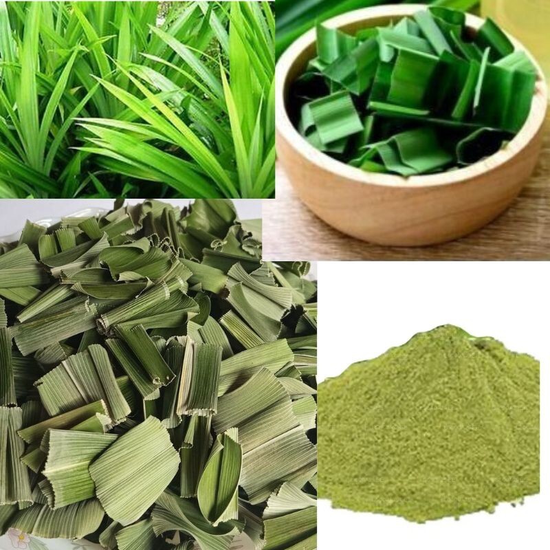 Dried Pandanus Amaryllifolius Natural Ceylon Organic Rampe Pandan ...