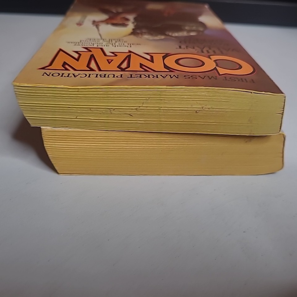 Conan The Rogue & Valiant Tor Paperback Book Novel Lot Of 2 First ...