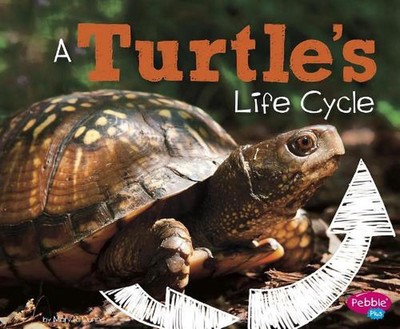 A Turtle's Life Cycle by Mary R. Dunn (English) Hardcover Book ...