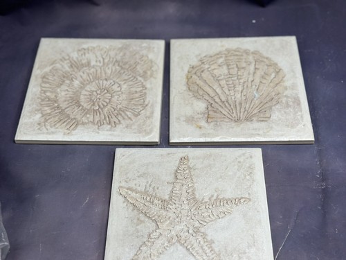 PORCELLANATO Porcelain Tiles Trivets Tile Seashells Embossed Lot Of 3 ...
