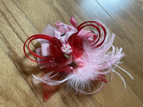 NEW Boutique Girls Hair Clip Ribbon Feather Pink/Red *Last Piece* | eBay
