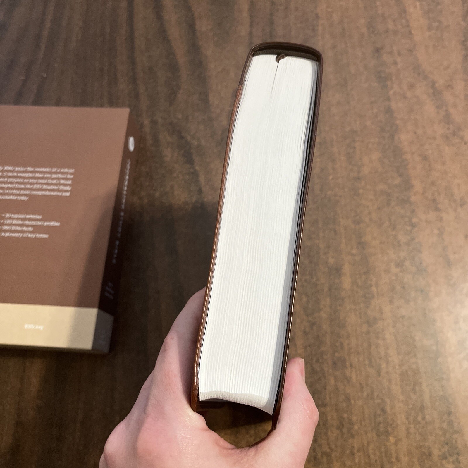 ESV Journaling Study Bible - $64.99 Retail - Brown / Chestnut Trutone ...