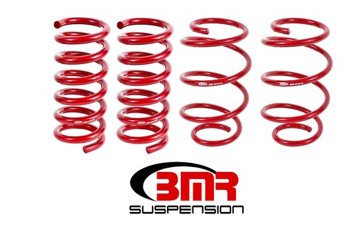 Frt Struts & Rr Shocks/Coil Springs/Camber Plate Kit-Shelby GT350 fits ...