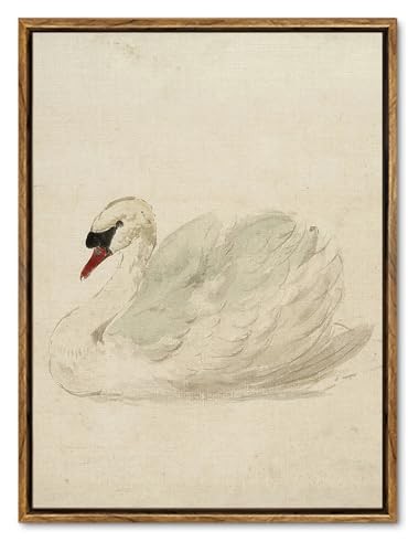 Vintage Frame Swan Canvas Mural Classic White Swan Watercolor 16L" x ...