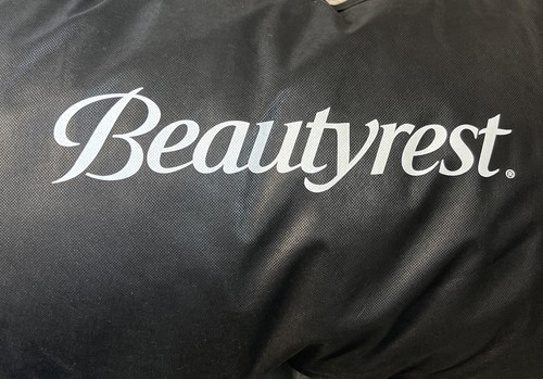 BEAUTYREST Luxury European Down Pillow, King, New 788904041083| eBay