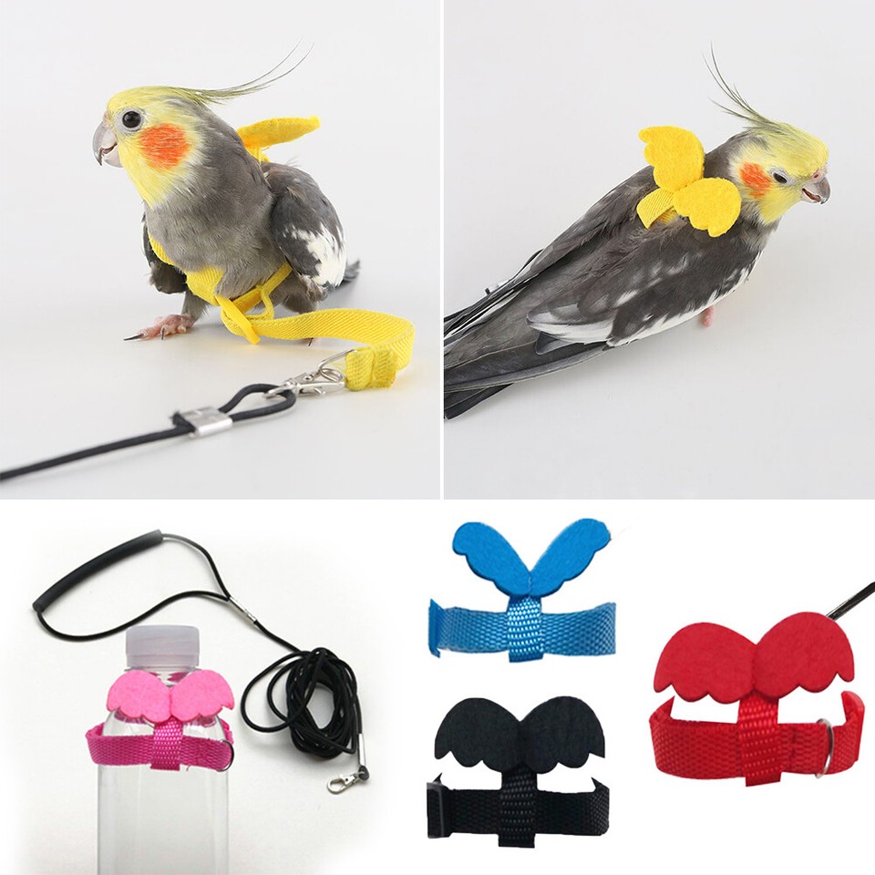 Bird Harness Leash Set Parrot Flying Rope Straps Outdoor Training for ...