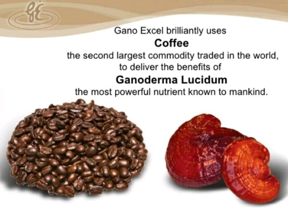 12 Boxes Gano Excel 3 in 1 Coffee Premix Coffee With Ganoderma Extract ...