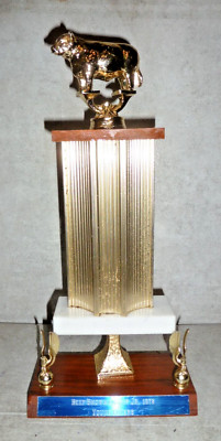 VINTAGE 1972 BEEF SHOWMANSHIP JR. TROPHY YOUNG FLYERS 14.5" TALL | eBay