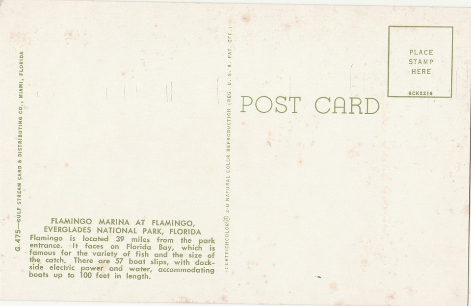 Florida Bay Flamingo Marina Vintage Postcard | eBay