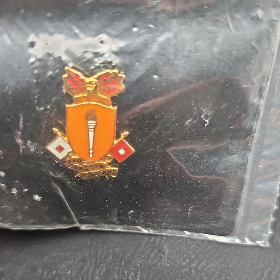 VTG Pro Patria Vigilans Military Insignia Signal Corps Crest Lapel Pin ...