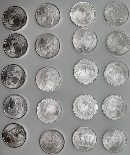 20x 1 Troy Ounce .999 Fine Silver Buffalo Rounds – BU Investment ...