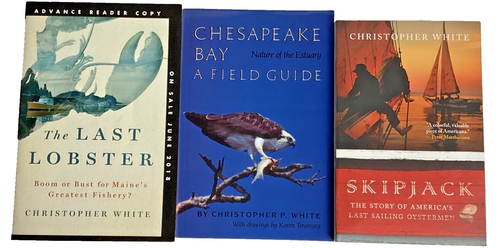 Skipjack , The Last Lobster & Chesapeake Bay A Field Guide by ...